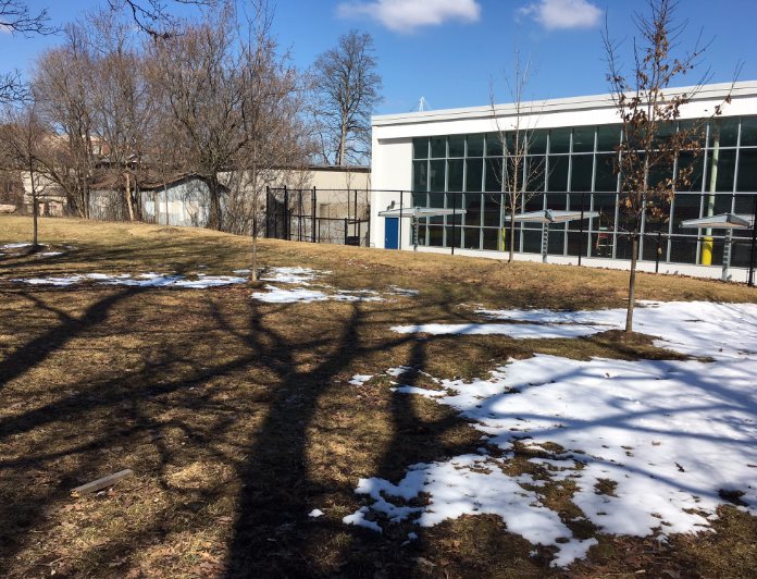 “Parkland” behind arena to remain ever isolated, unused? – The South ...